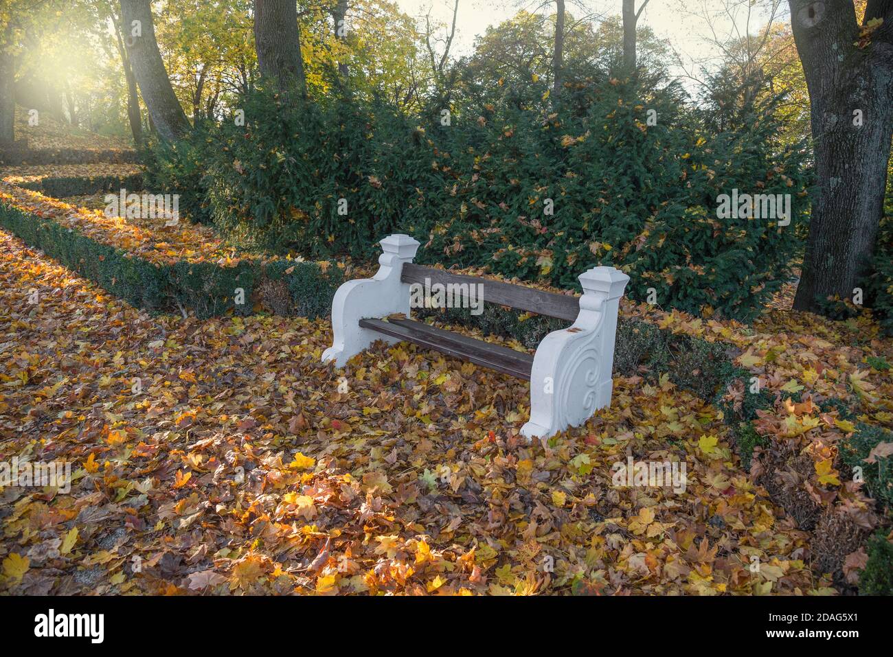 Ancient bench hi-res stock photography and images - Alamy
