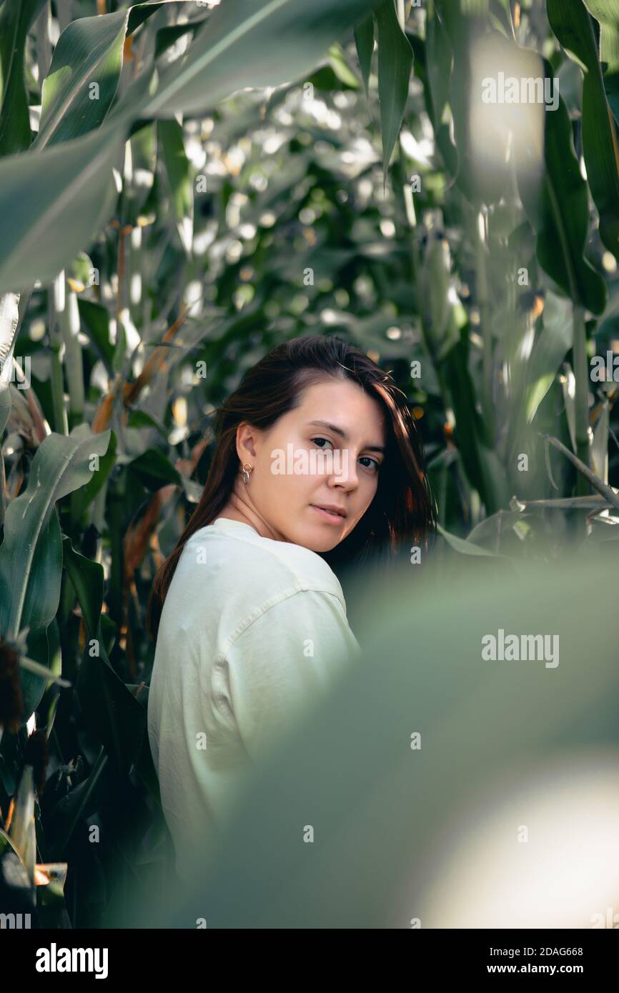 portrait of beautiful woman in corn Stock Photo - Alamy