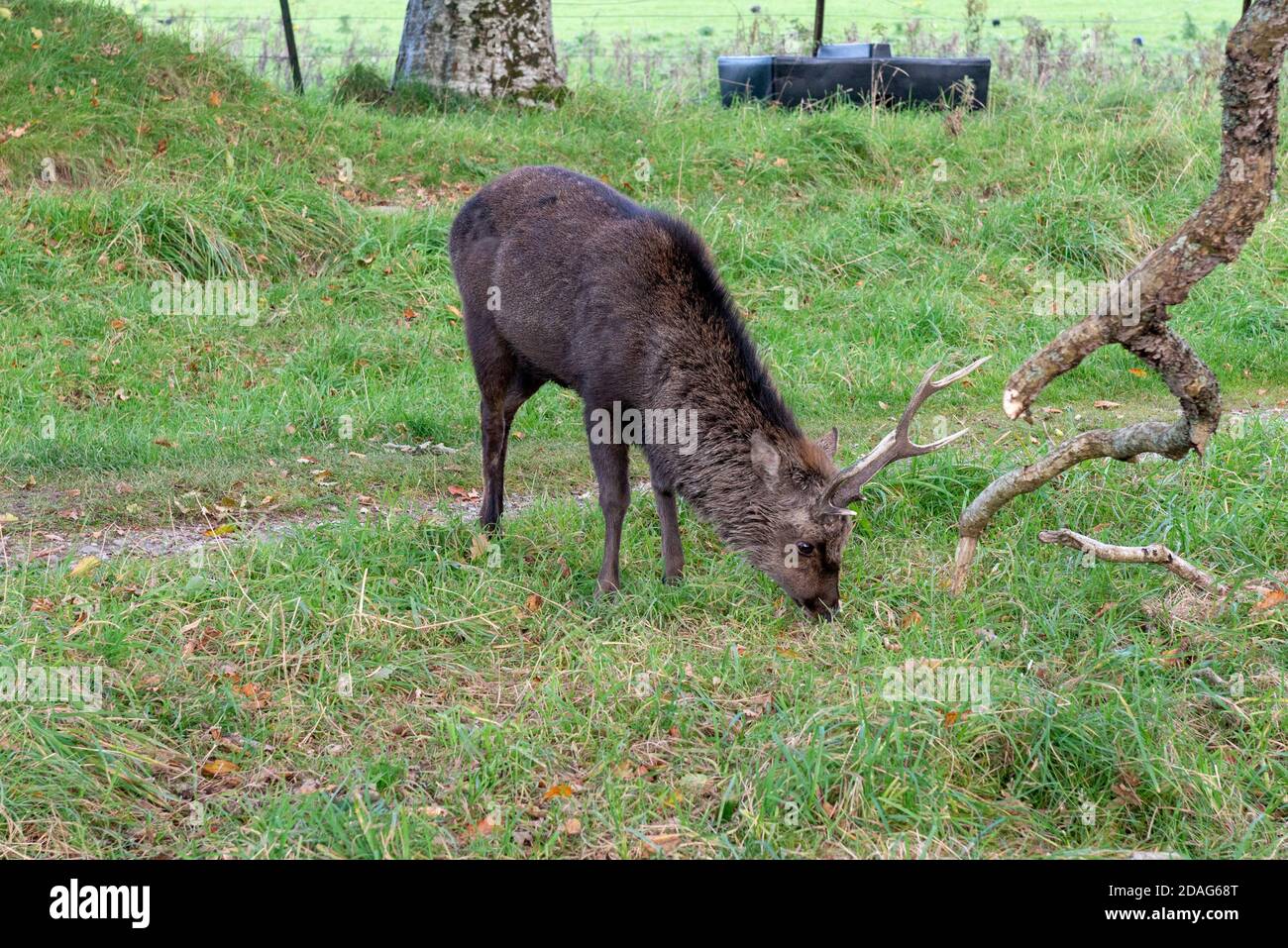 Japanese national park hi-res stock photography and images - Alamy
