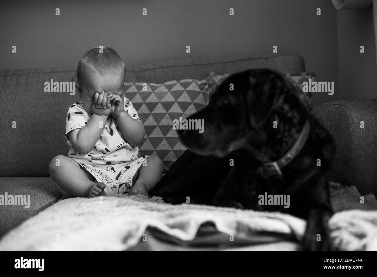 Cute dog home Black and White Stock Photos & Images - Alamy