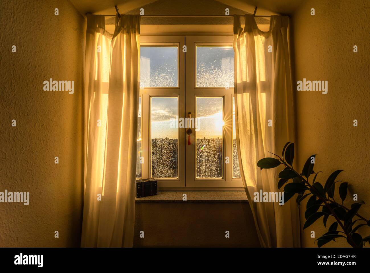 Goldenes sonnenlicht hi-res stock photography and images - Alamy