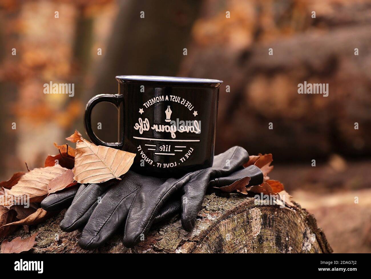 Chiefly hi-res stock photography and images - Alamy