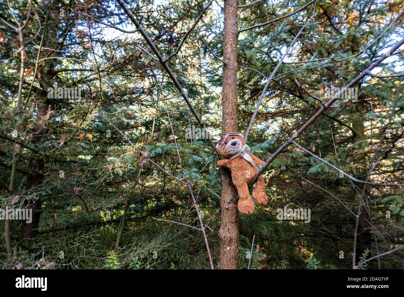 Missing child forest hi-res stock photography and images - Alamy
