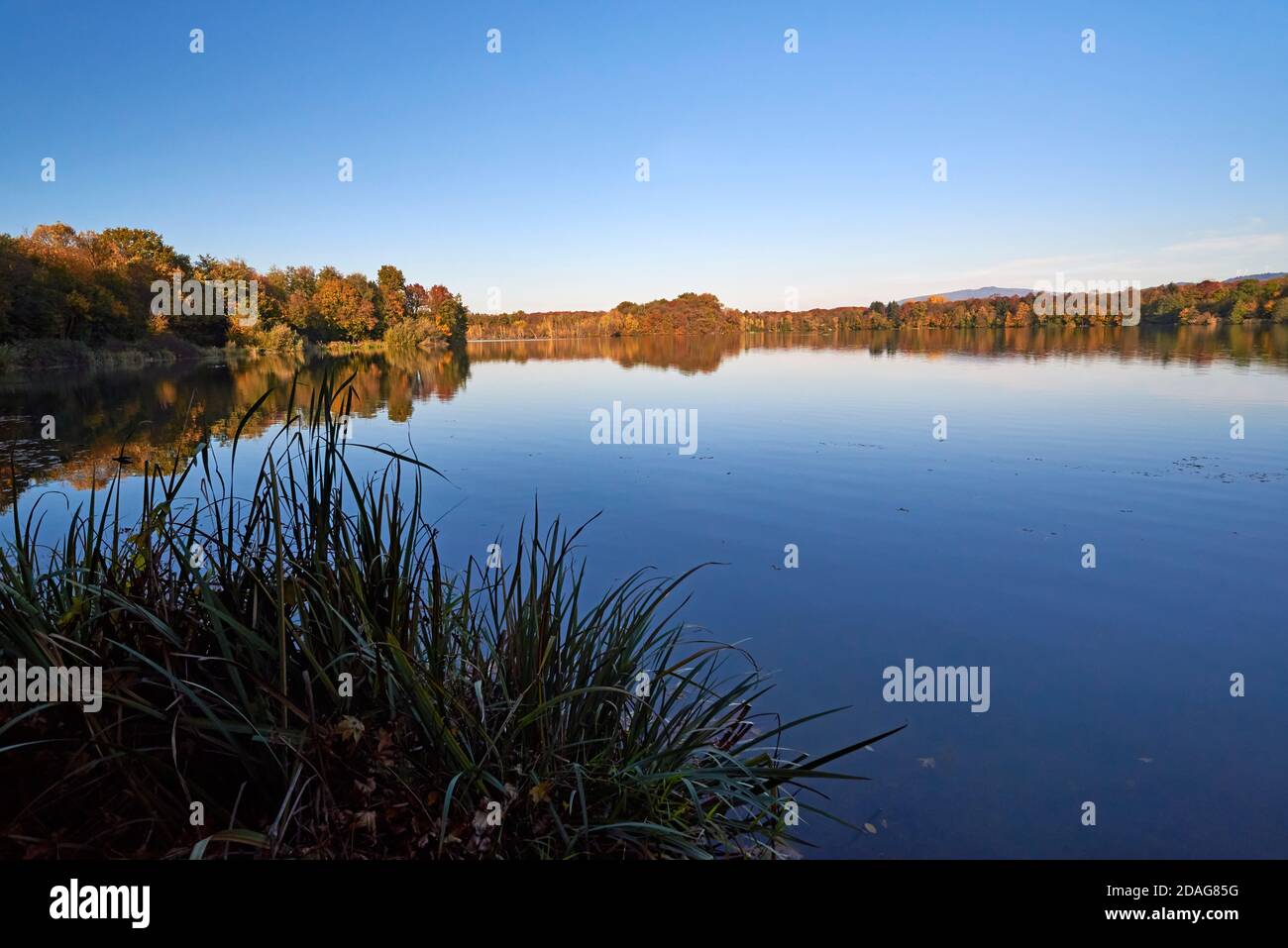 Opfinger lake hi-res stock photography and images - Alamy
