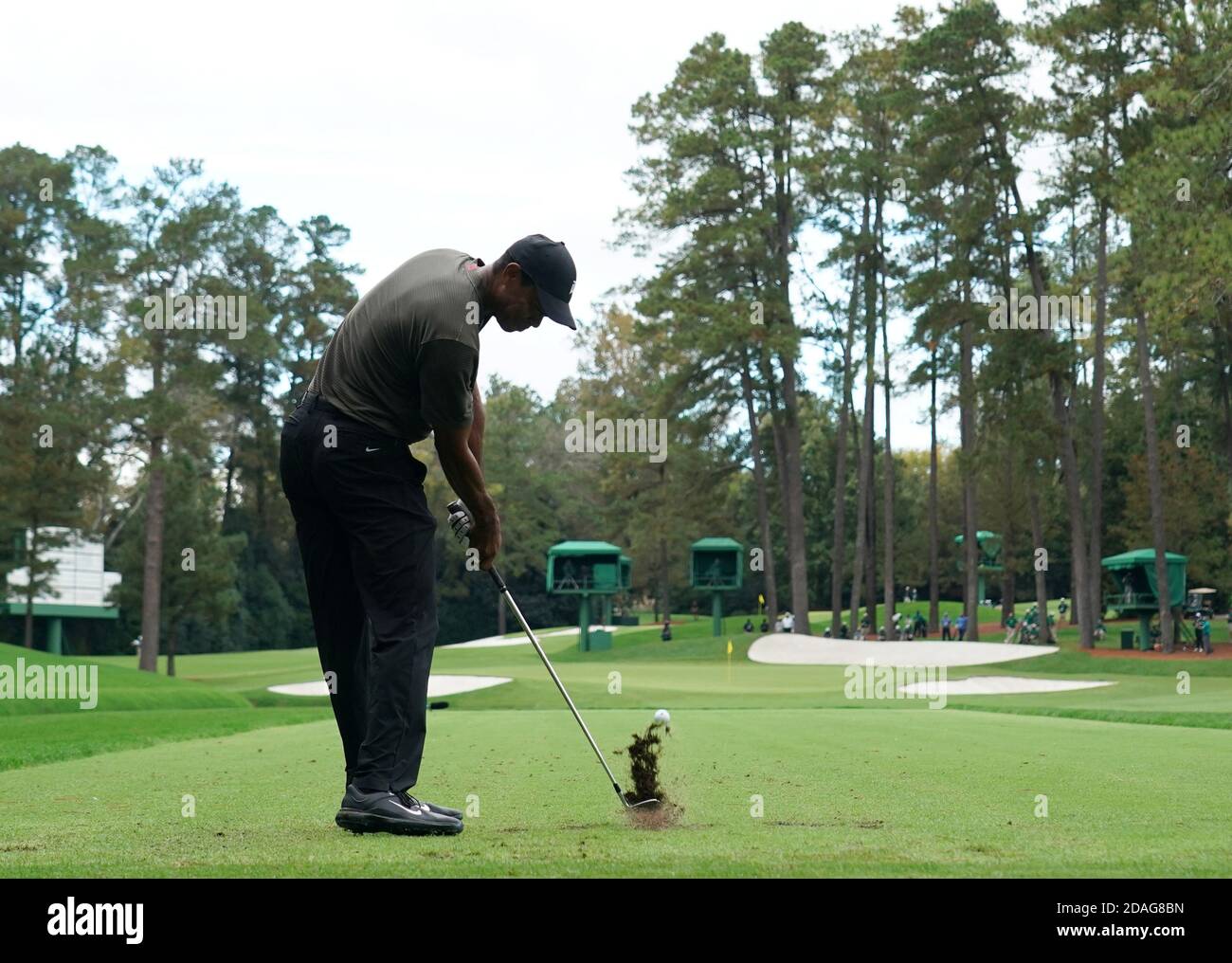 Tiger Woods Tee Shot