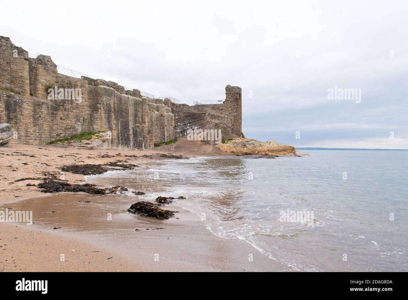 St andrews cliffs scotland hi-res stock photography and images - Alamy