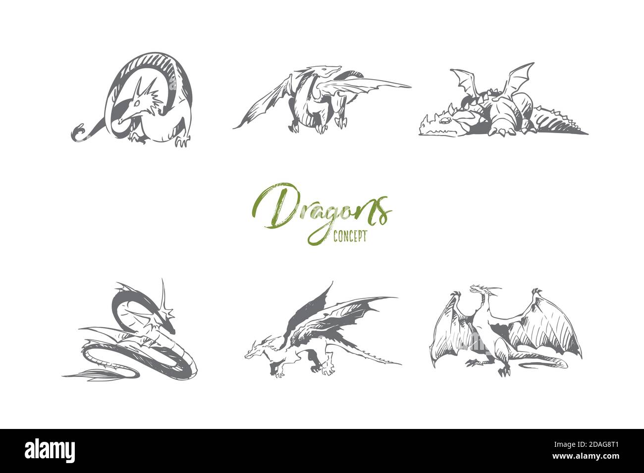 Dragons - different types of dragons vector concept set Stock Vector ...