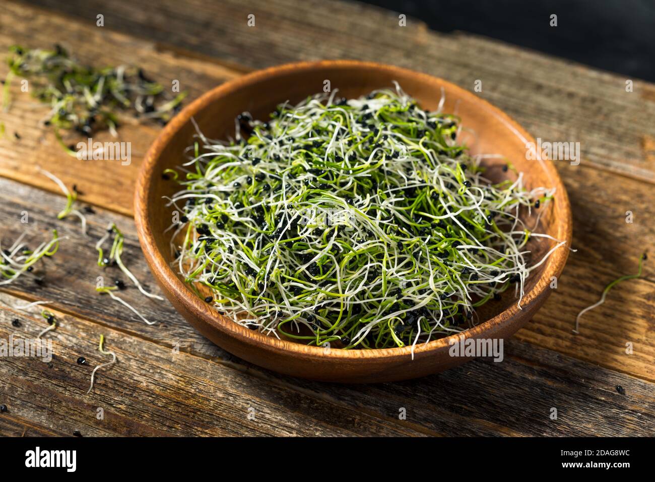 Raw Green Organic Onion Sprouts Ready to Eat Stock Photo - Alamy