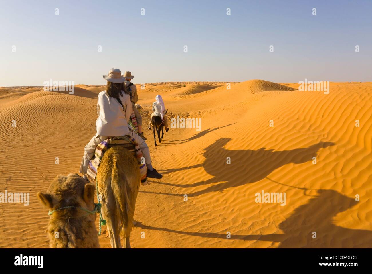 Camel riding in sahara hi-res stock photography and images - Alamy