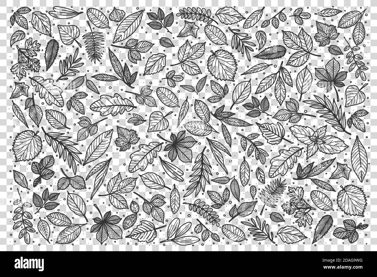 Leaves doodle set Stock Vector Image & Art - Alamy