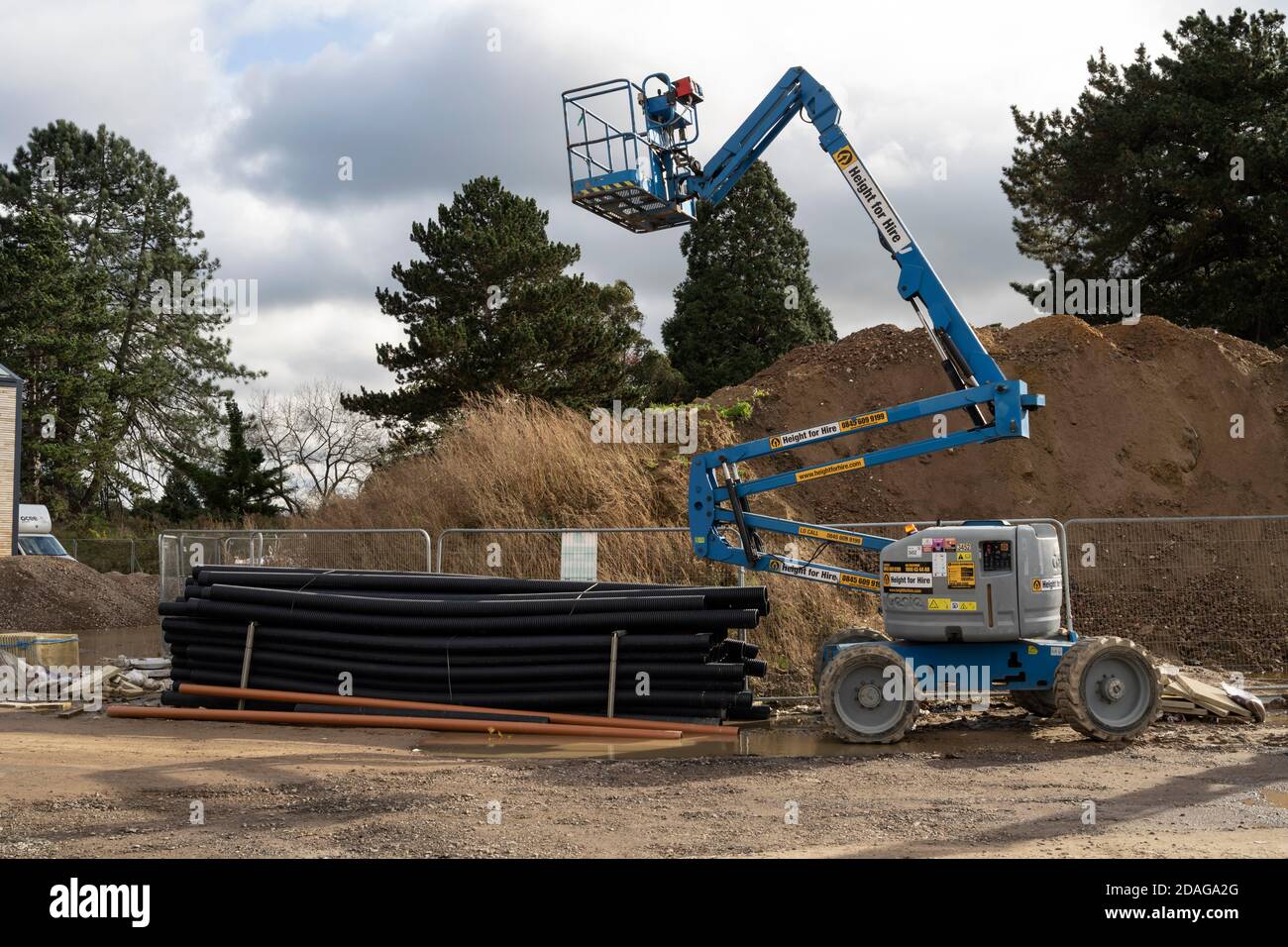 Plant on a building / construction site Stock Photo - Alamy