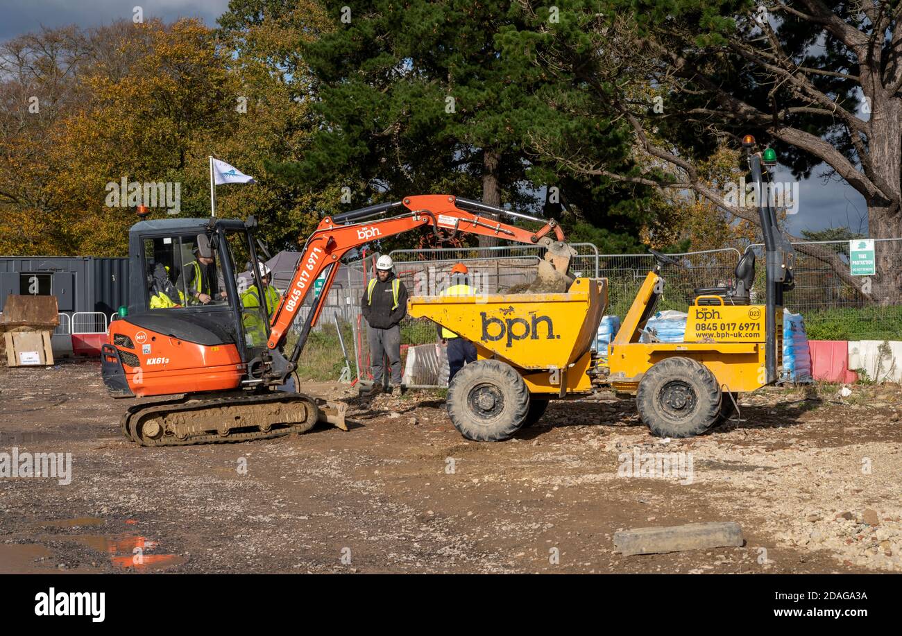 Plant on a building / construction site Stock Photo - Alamy