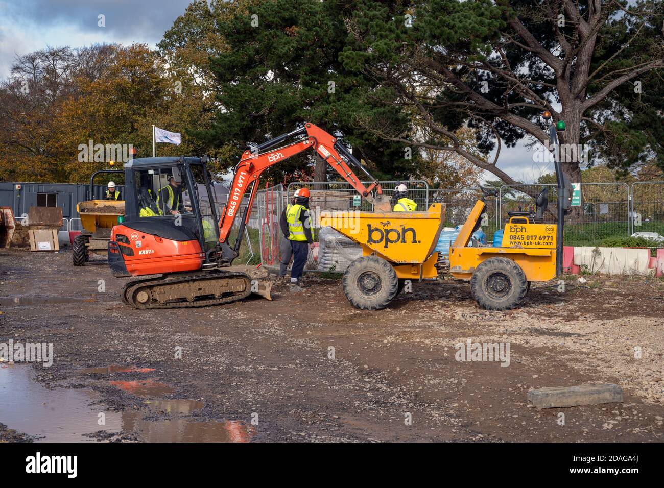 Plant on a building / construction site Stock Photo - Alamy