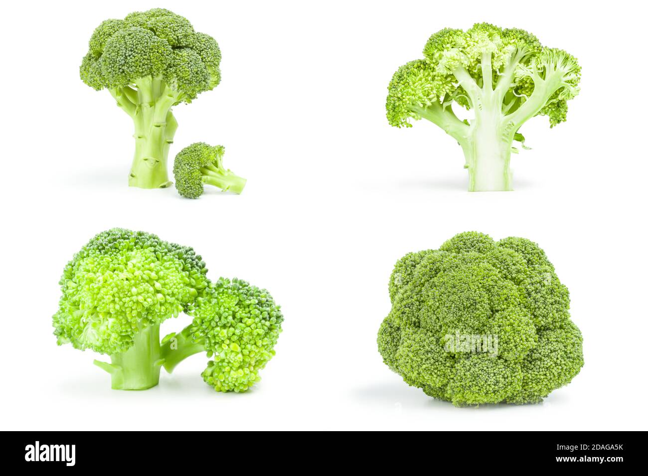 Collage of broccoli floret close-up isolated on white background Stock ...