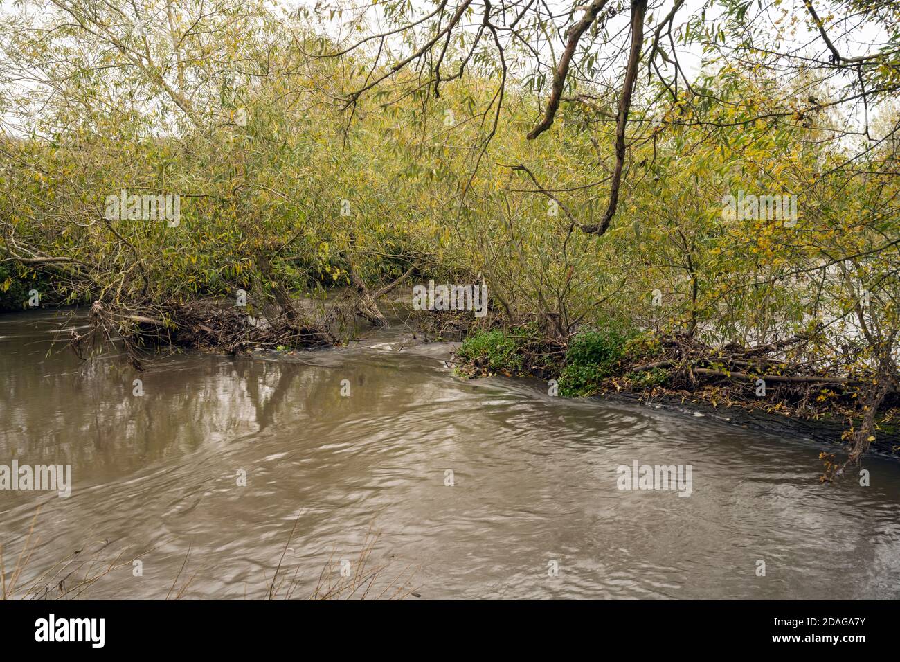 River blocked hi-res stock photography and images - Alamy