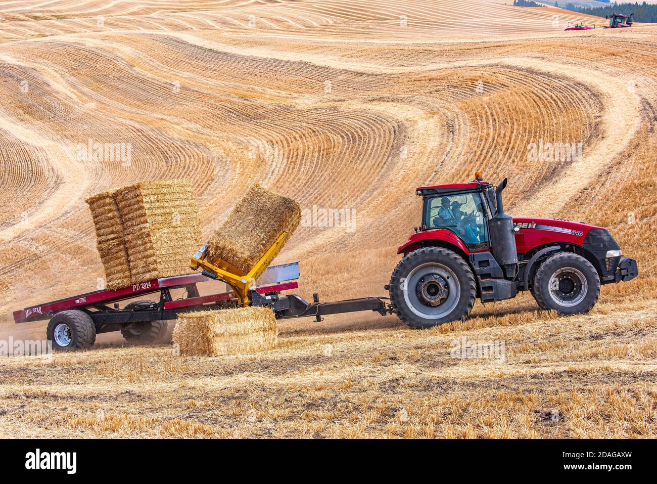 CaseIH tractor picking up large rectangular bales of straw on the hills ...