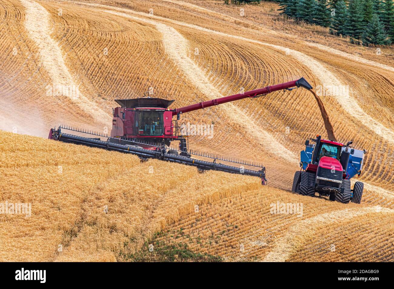 CaseIH combine offloading grain to Kinze grain cart pulled by a ...
