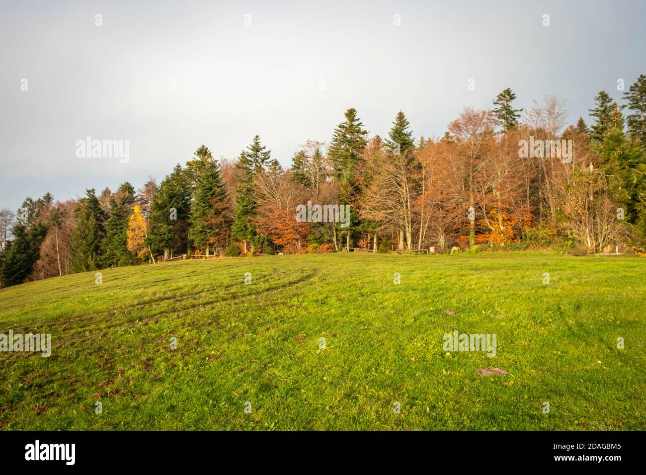 Wonderful landscapes in Eichenberg over Lake Constance Stock Photo - Alamy