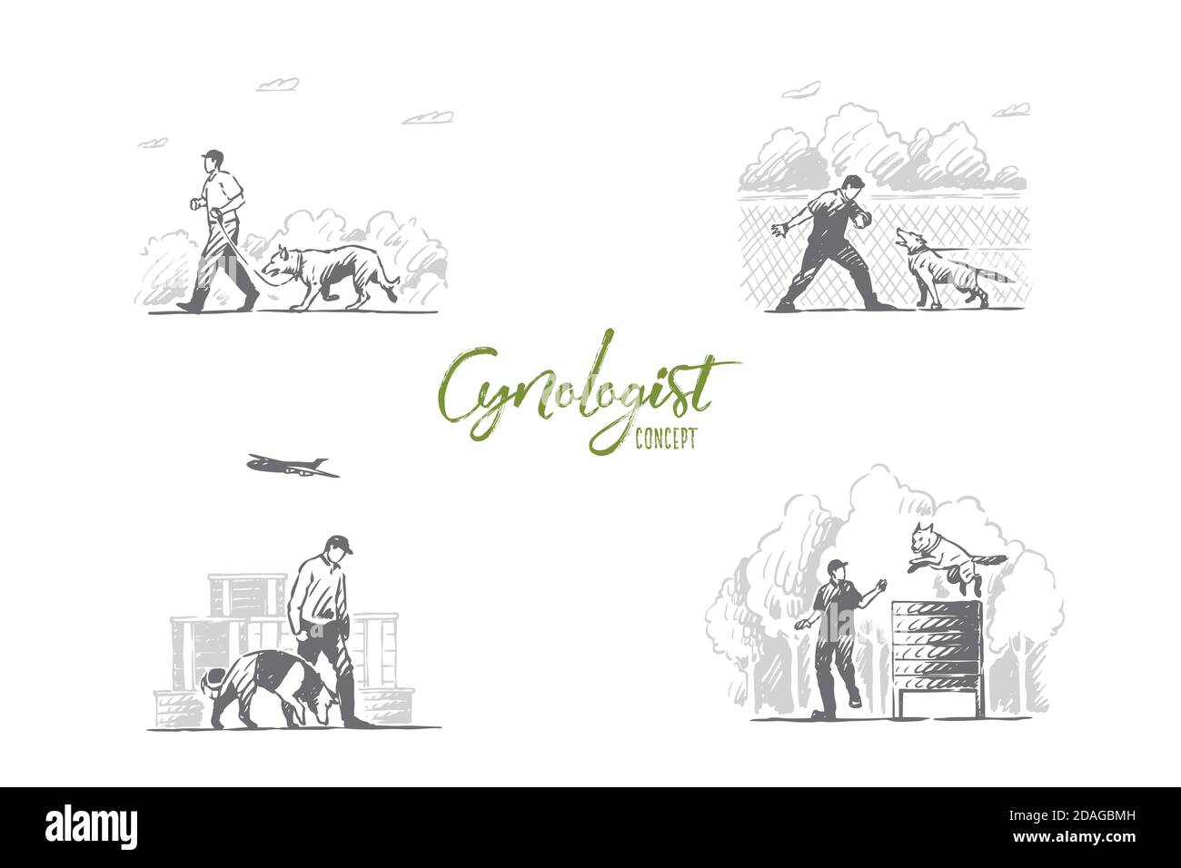 Special breed dog Cut Out Stock Images & Pictures - Alamy