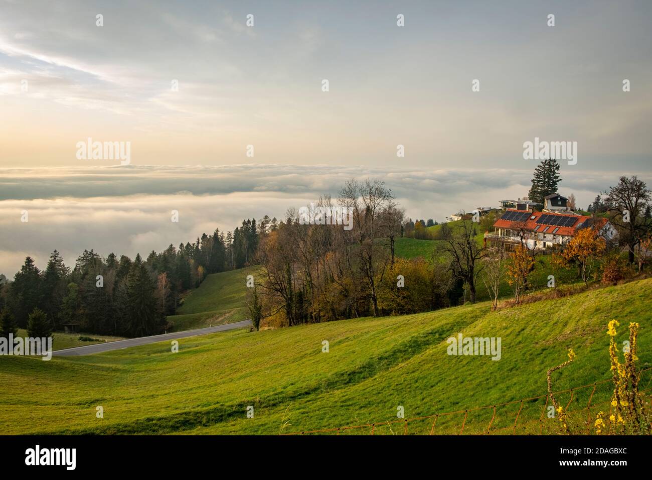 Wonderful landscapes in Eichenberg over Lake Constance Stock Photo - Alamy