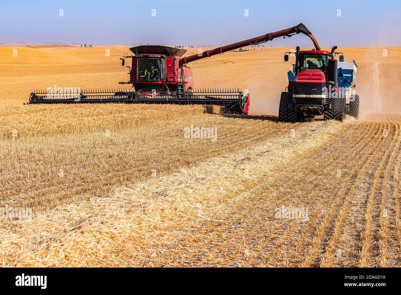 CaseIH combine offloading grain to Kinze grain cart pulled by a ...