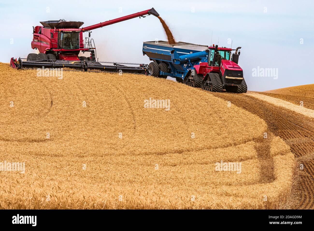 CaseIH combine offloading grain to Kinze grain cart pulled by a ...