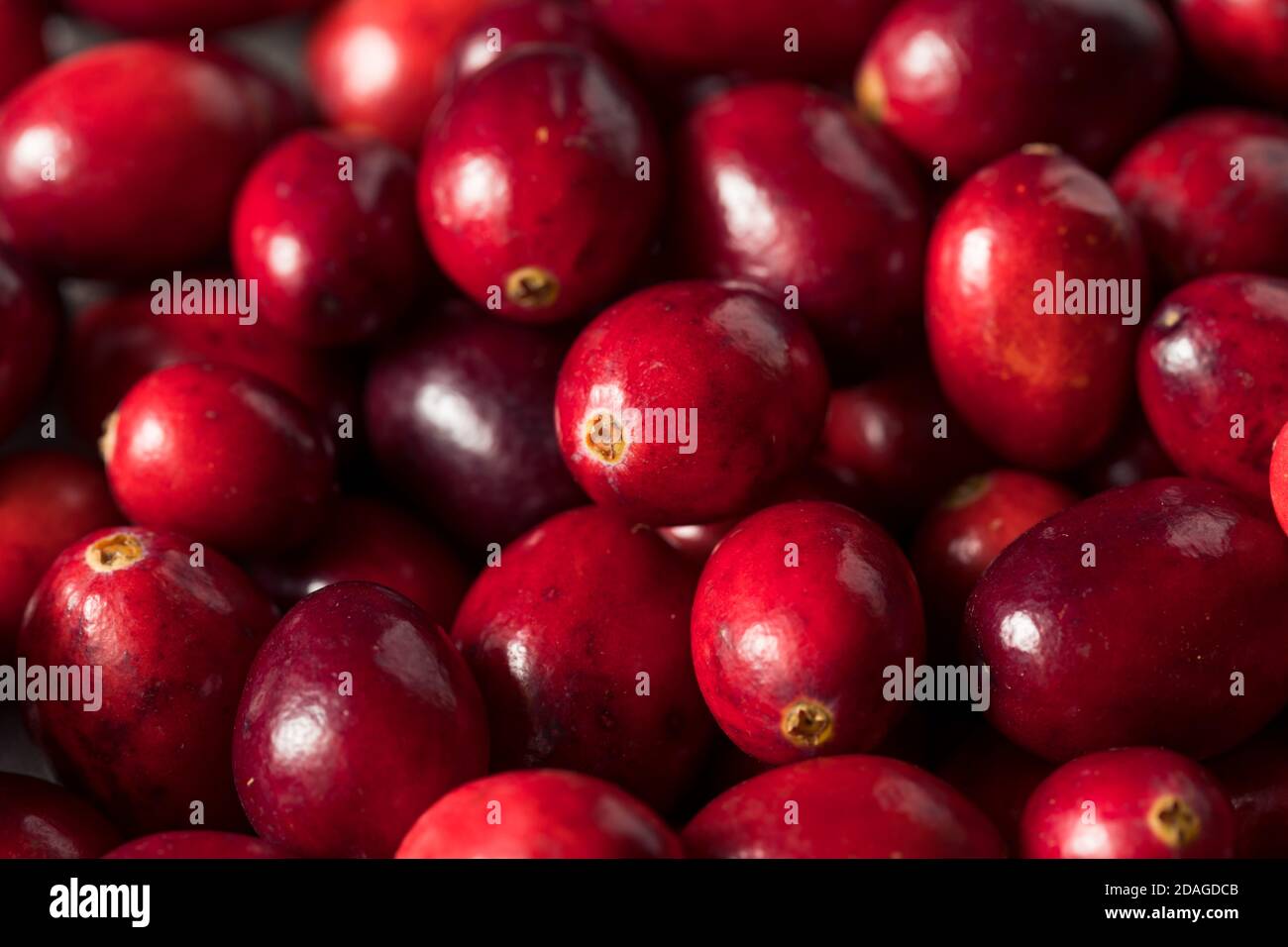 Raw Red Organic Cranberries in a Bowl Stock Photo - Alamy
