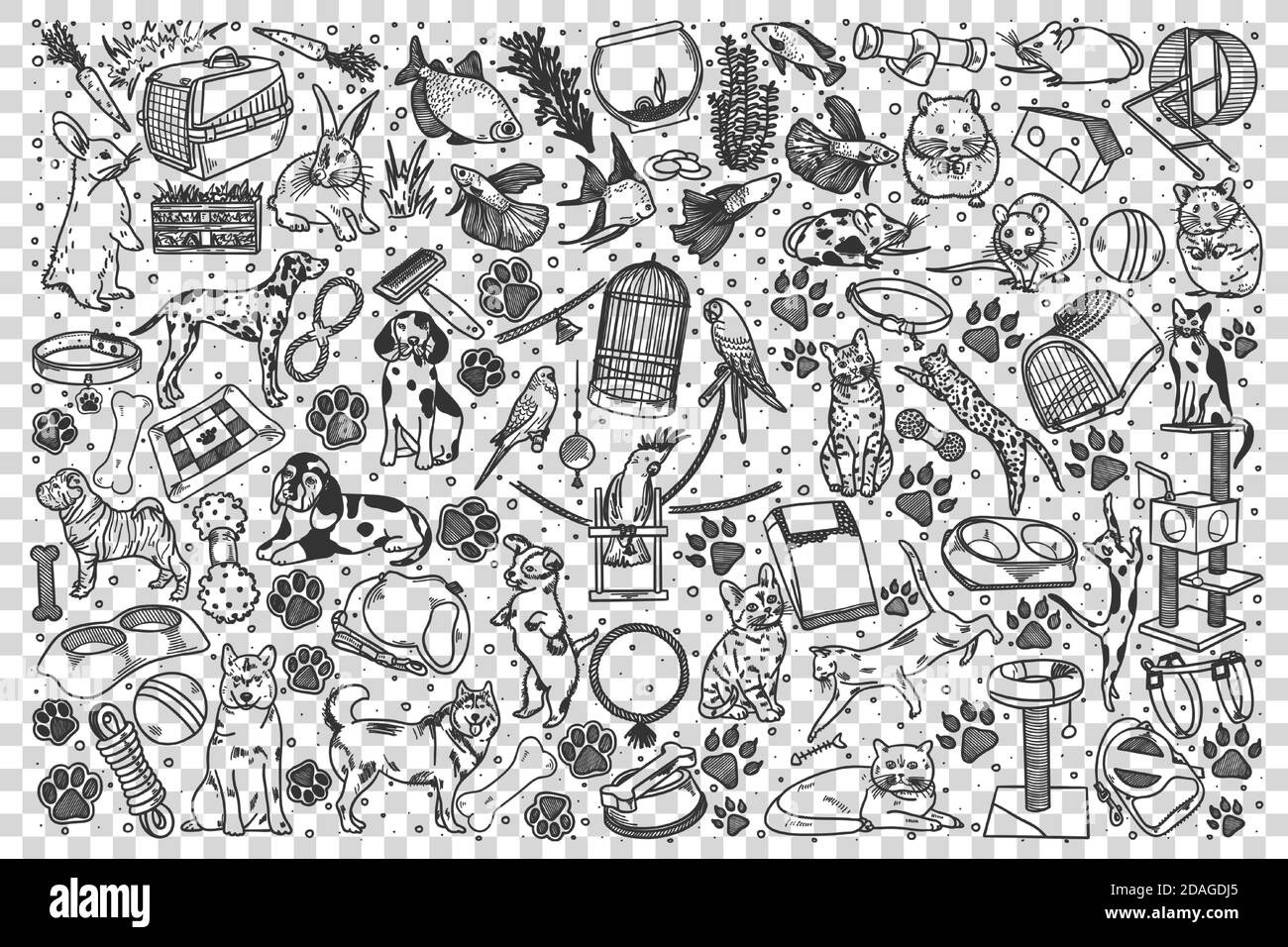 Puppy kitten rabbit Black and White Stock Photos & Images - Alamy