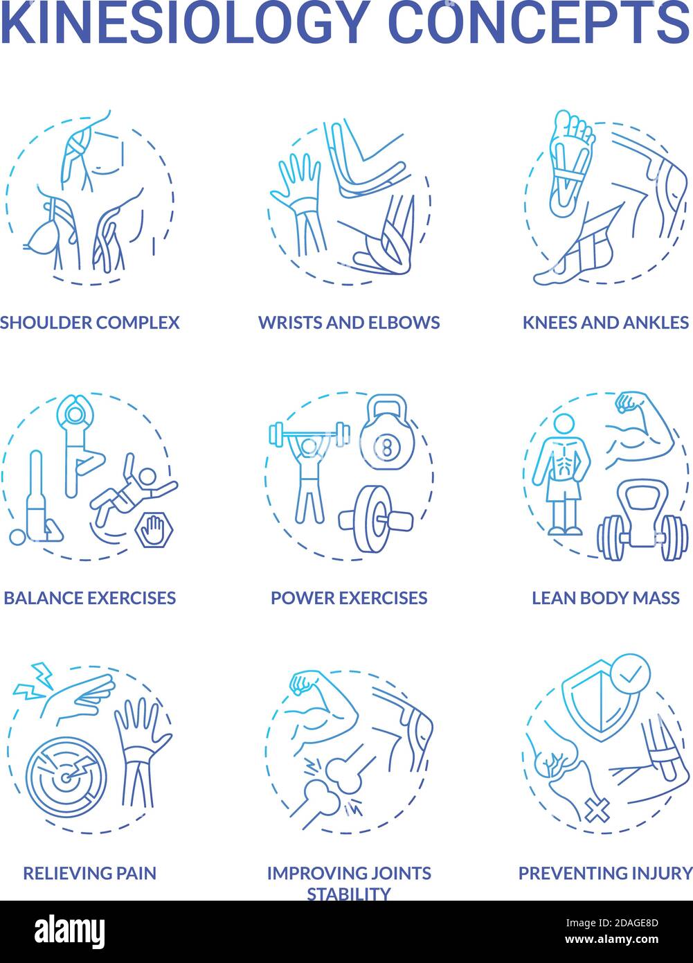 Kinesiology concept blue gradient icons set Stock Vector Image & Art ...