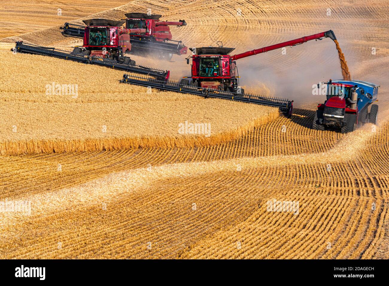 CaseIH combine offloading grain to Kinze grain cart pulled by a ...