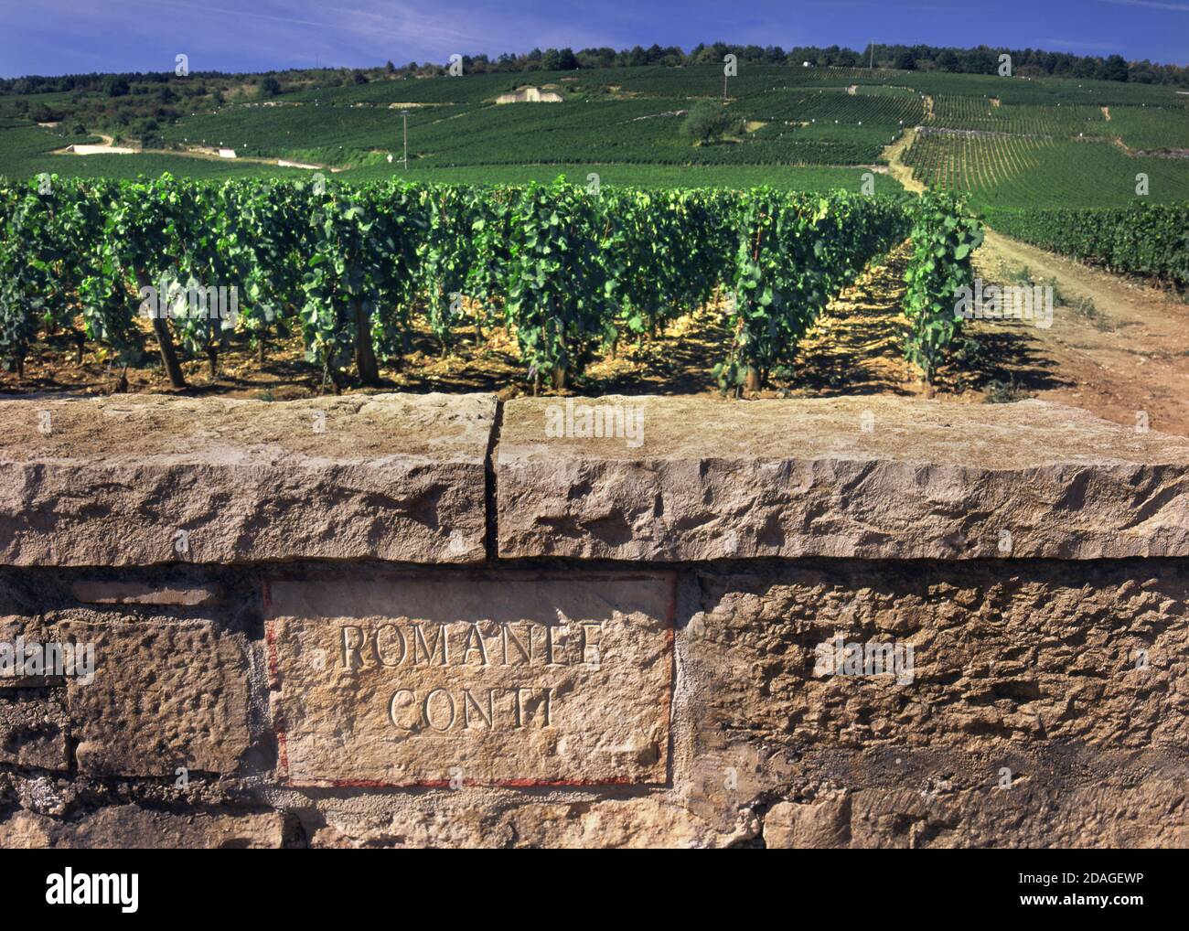 Richebourg vineyard hi-res stock photography and images - Alamy