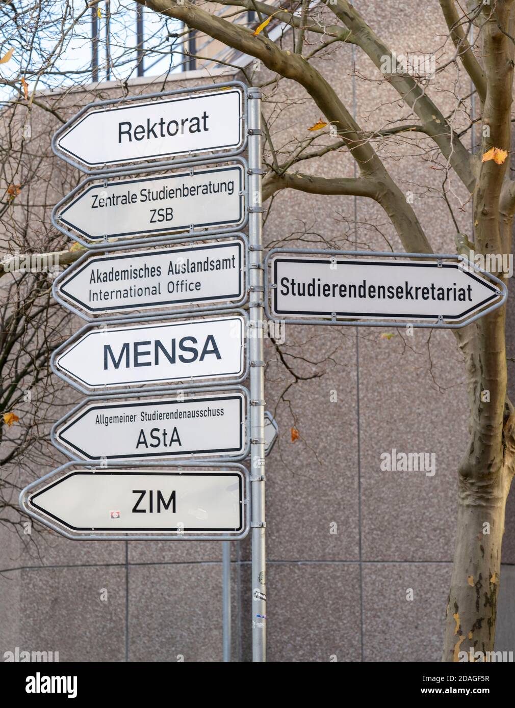 Student advisory service hi-res stock photography and images - Alamy