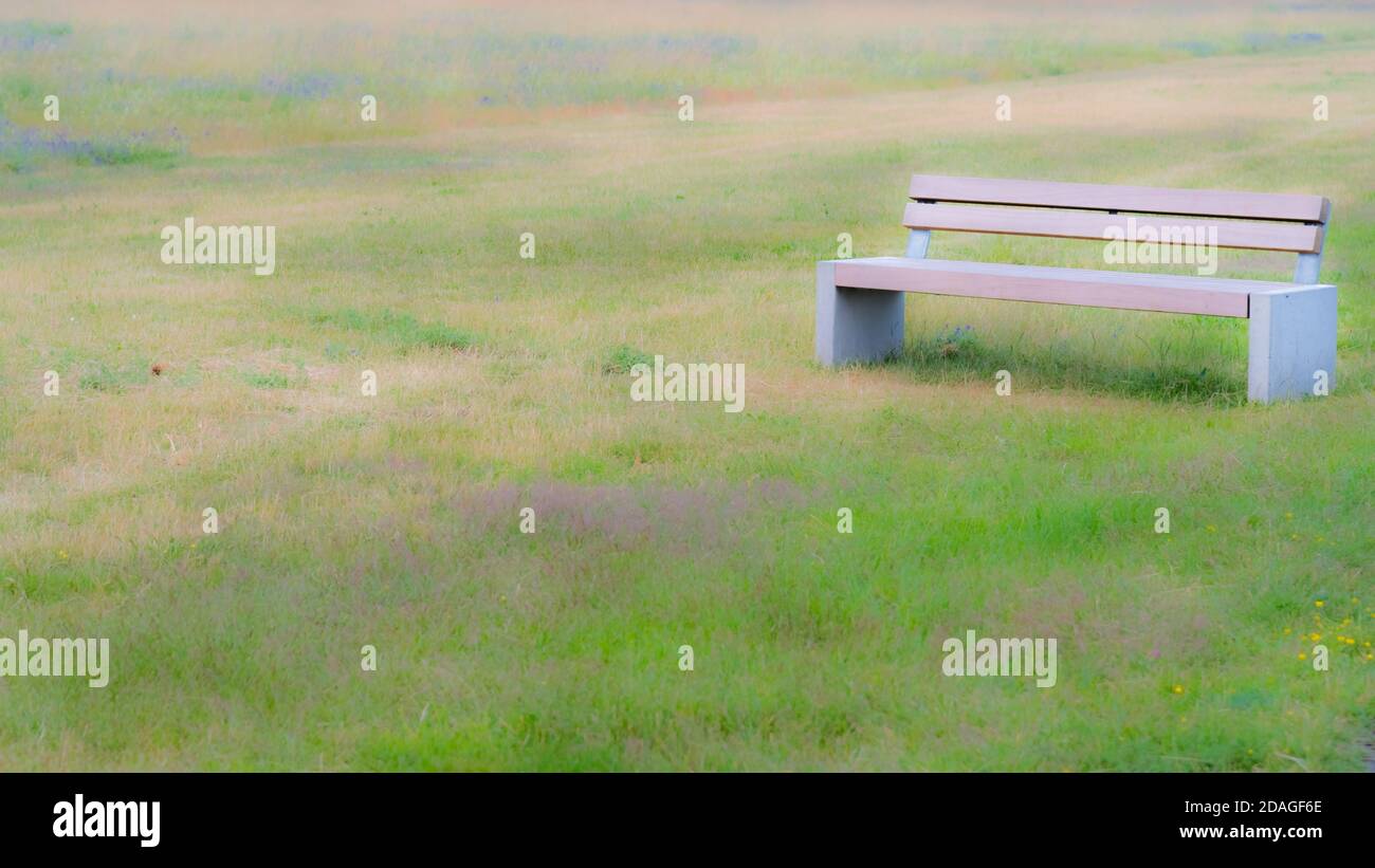 Bench on a green meadow with blur Stock Photo - Alamy