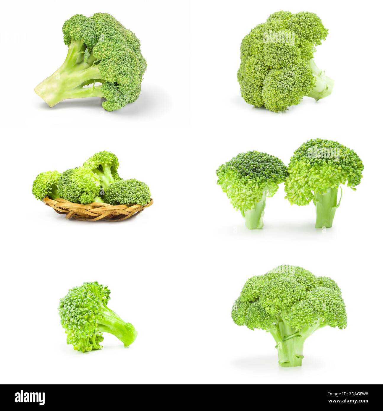 Collection of broccoli floret isolated on a white background cutout ...