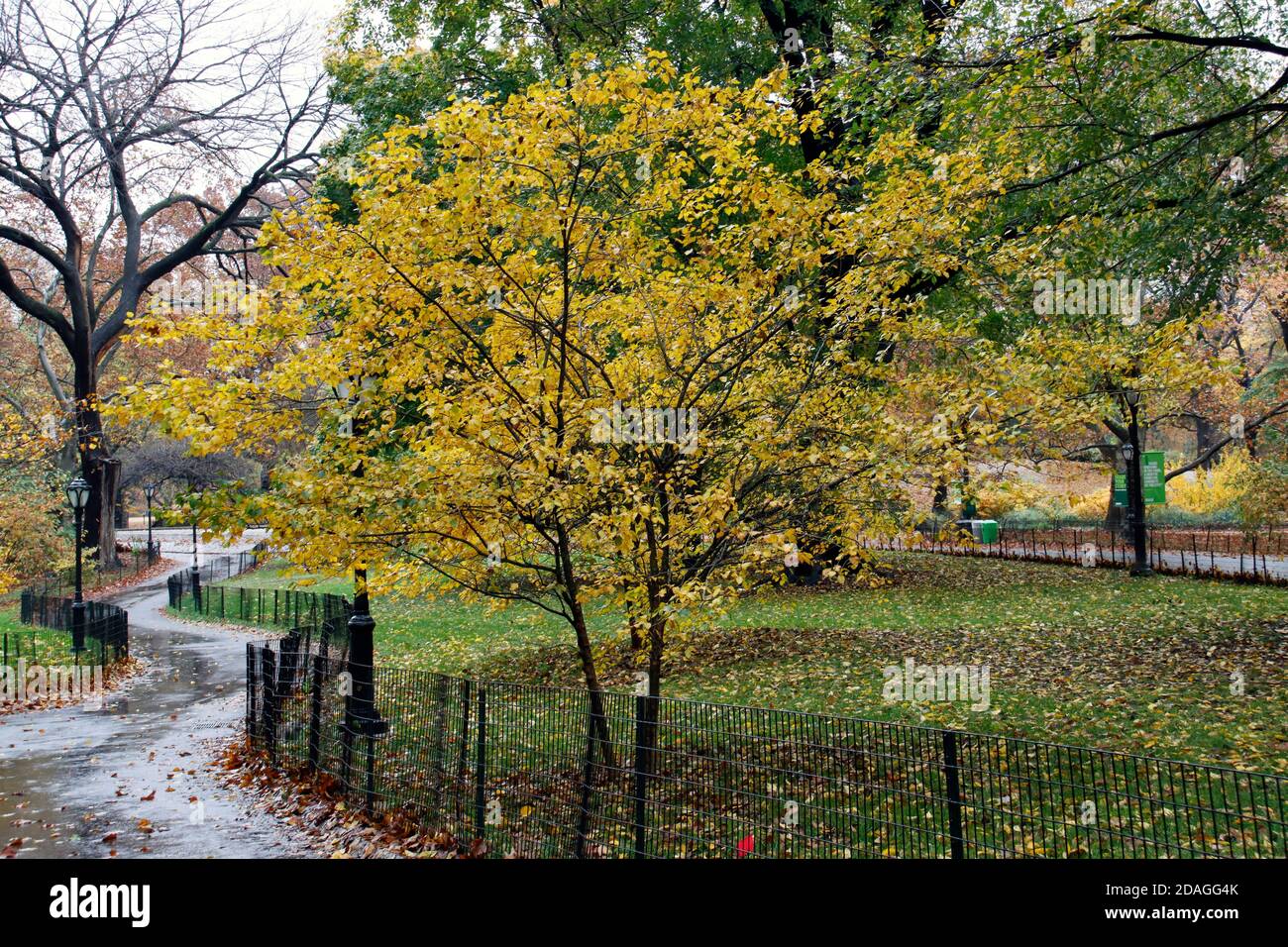 Central Park Fall Stock Photo - Alamy