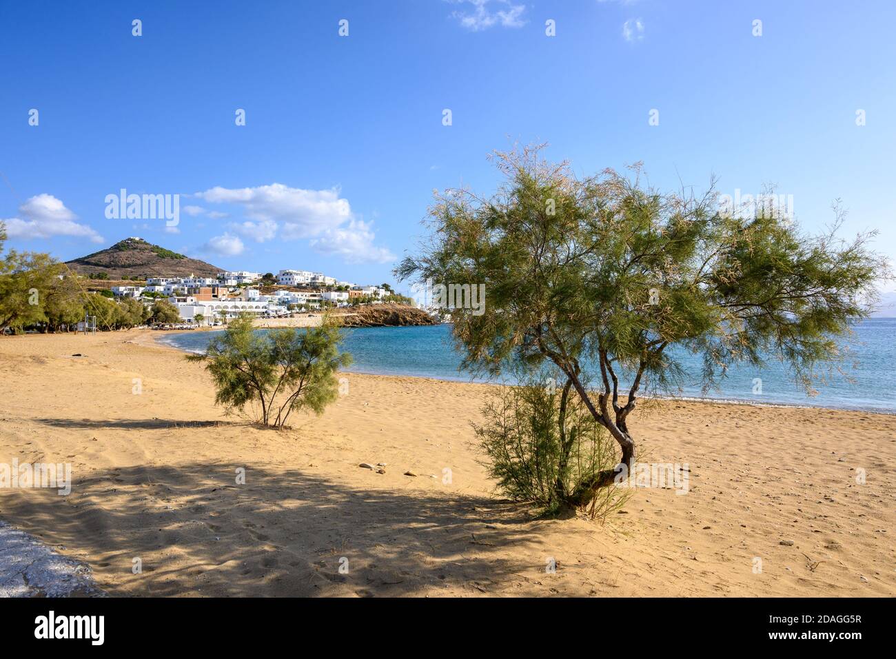 Trees on sandy Logaras beach with azure sea water on coast of Paros ...