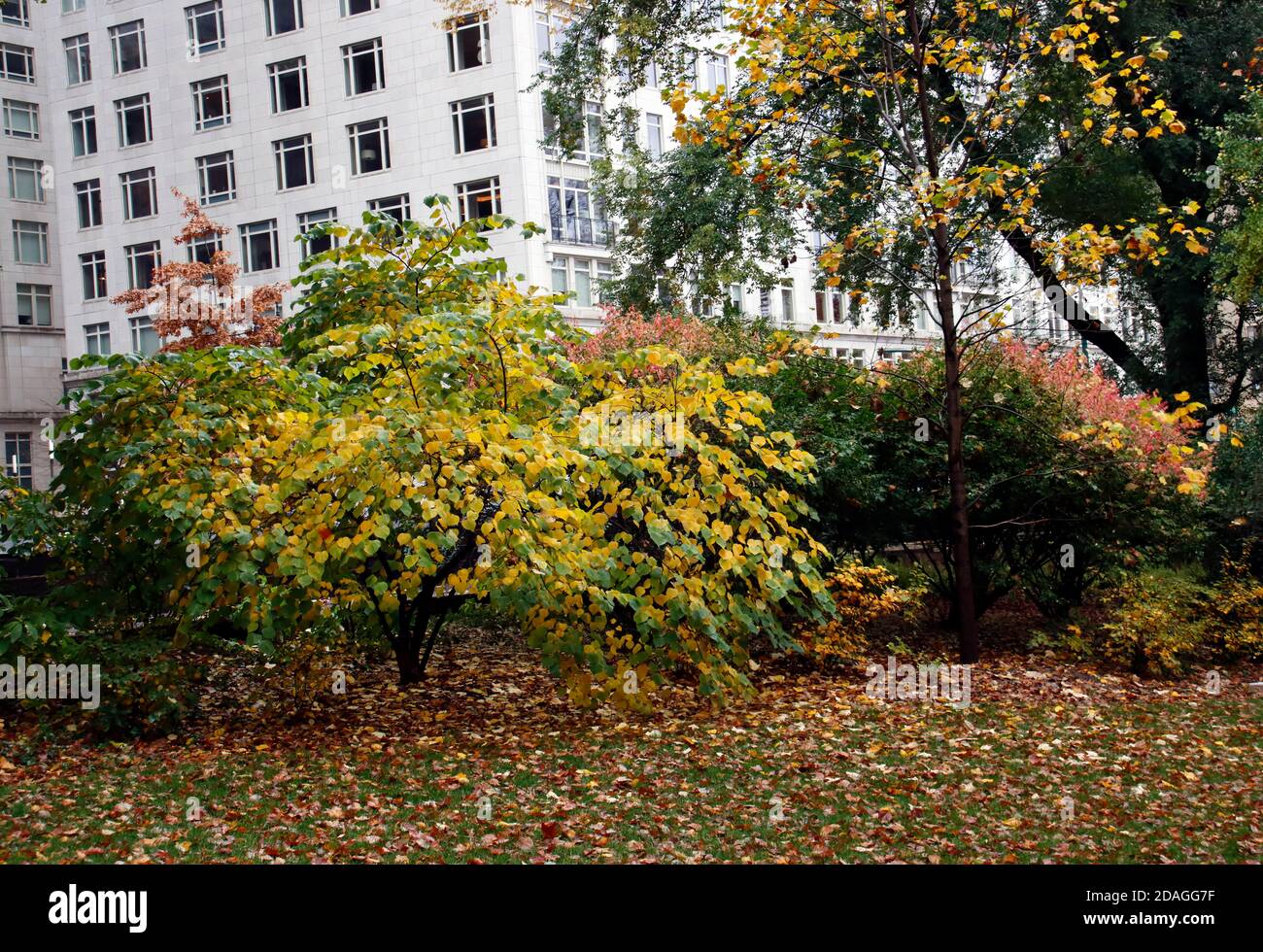 Central Park Fall Stock Photo - Alamy