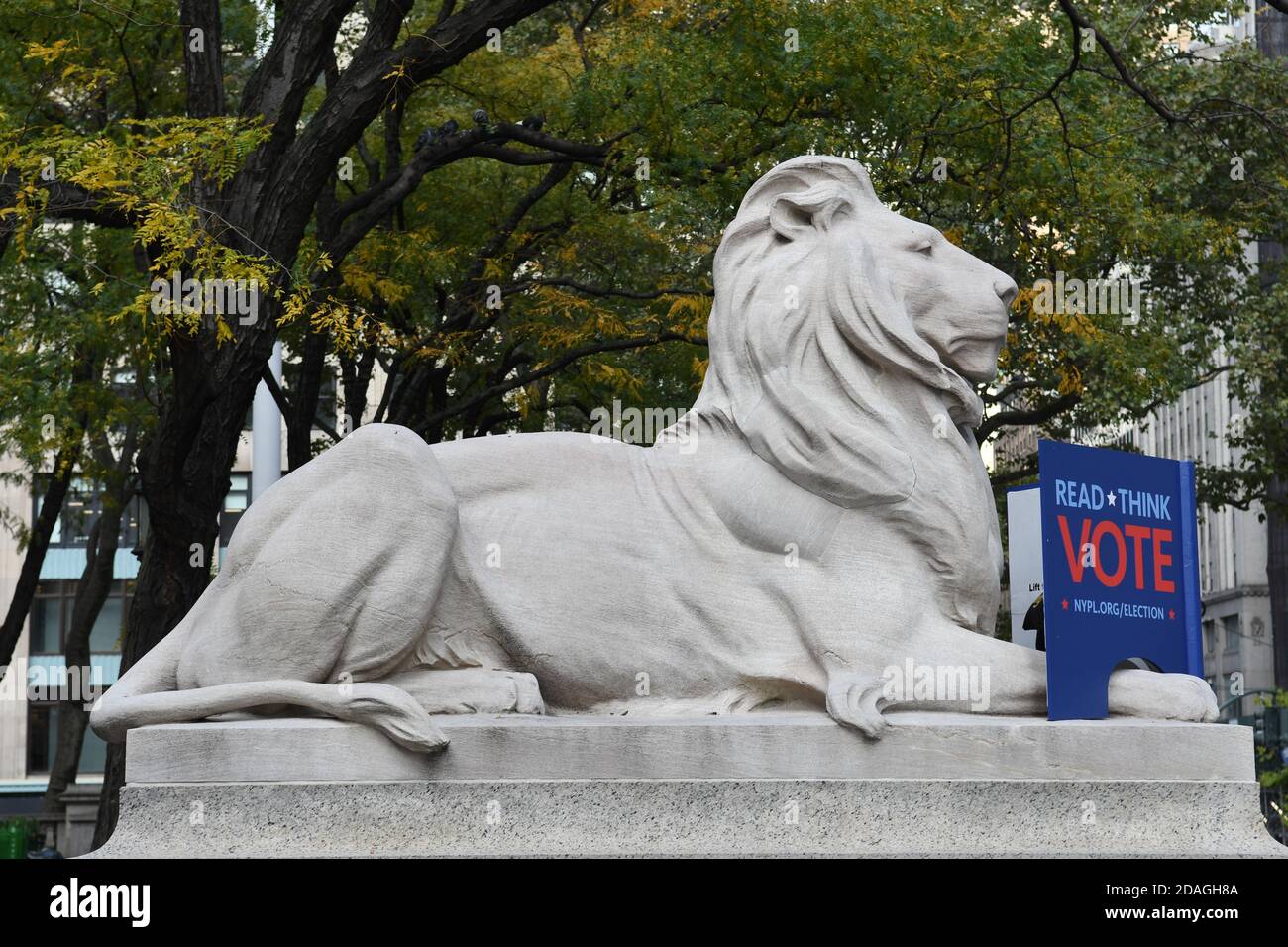 Stone lion at entrance to the New York City Library Stock Photo - Alamy
