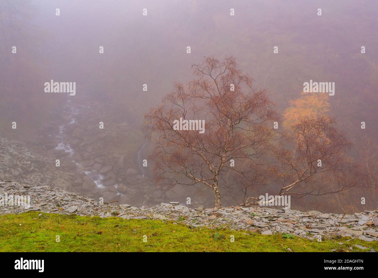 Misty valley at Tilberthwaite, Lake District, Cumbria, UK in November ...