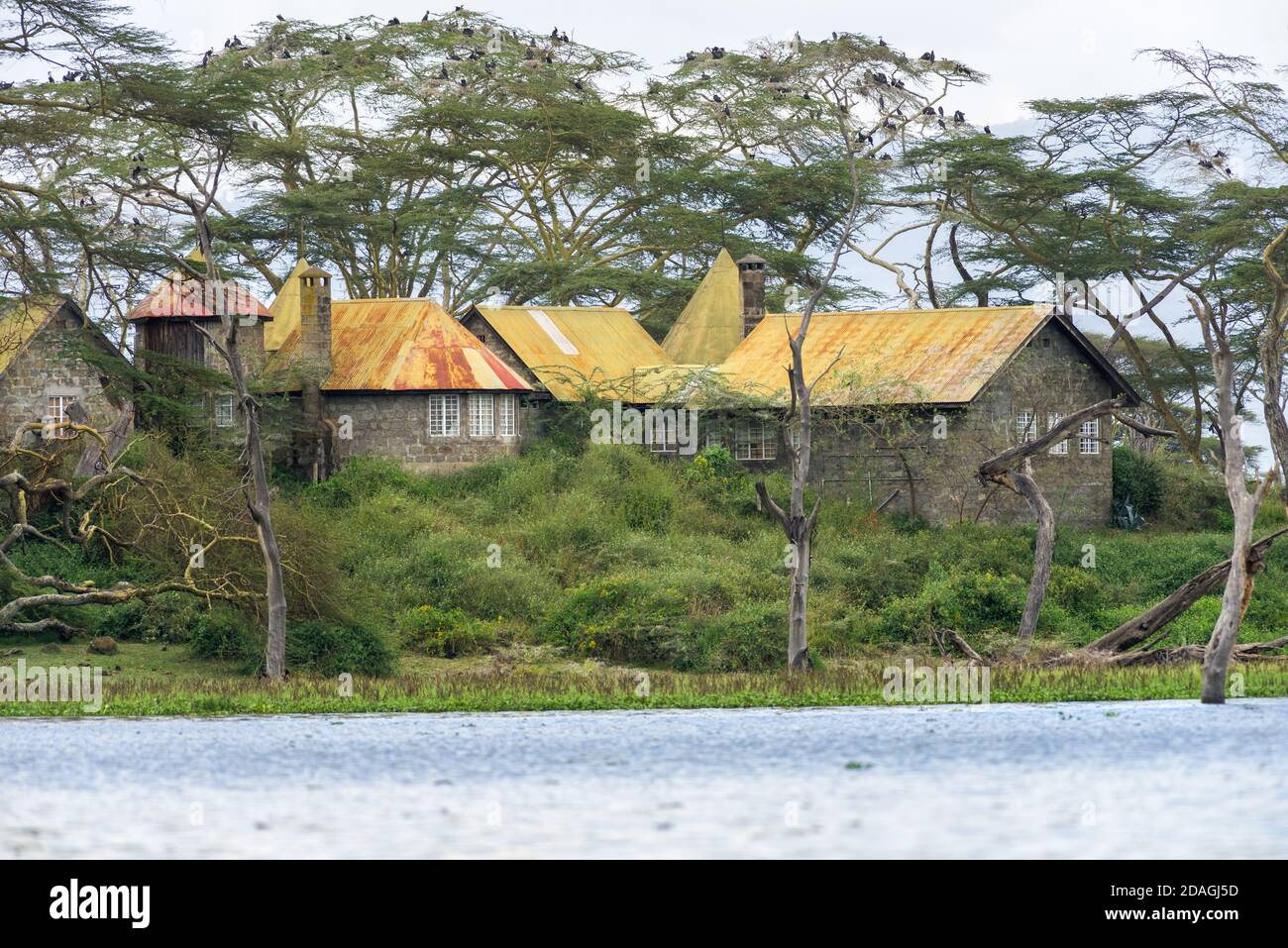 Large hotel lodge building by shoreline surrounded by acacia trees ...