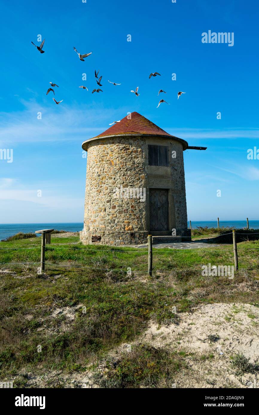 Postcards and calendars hi-res stock photography and images - Alamy