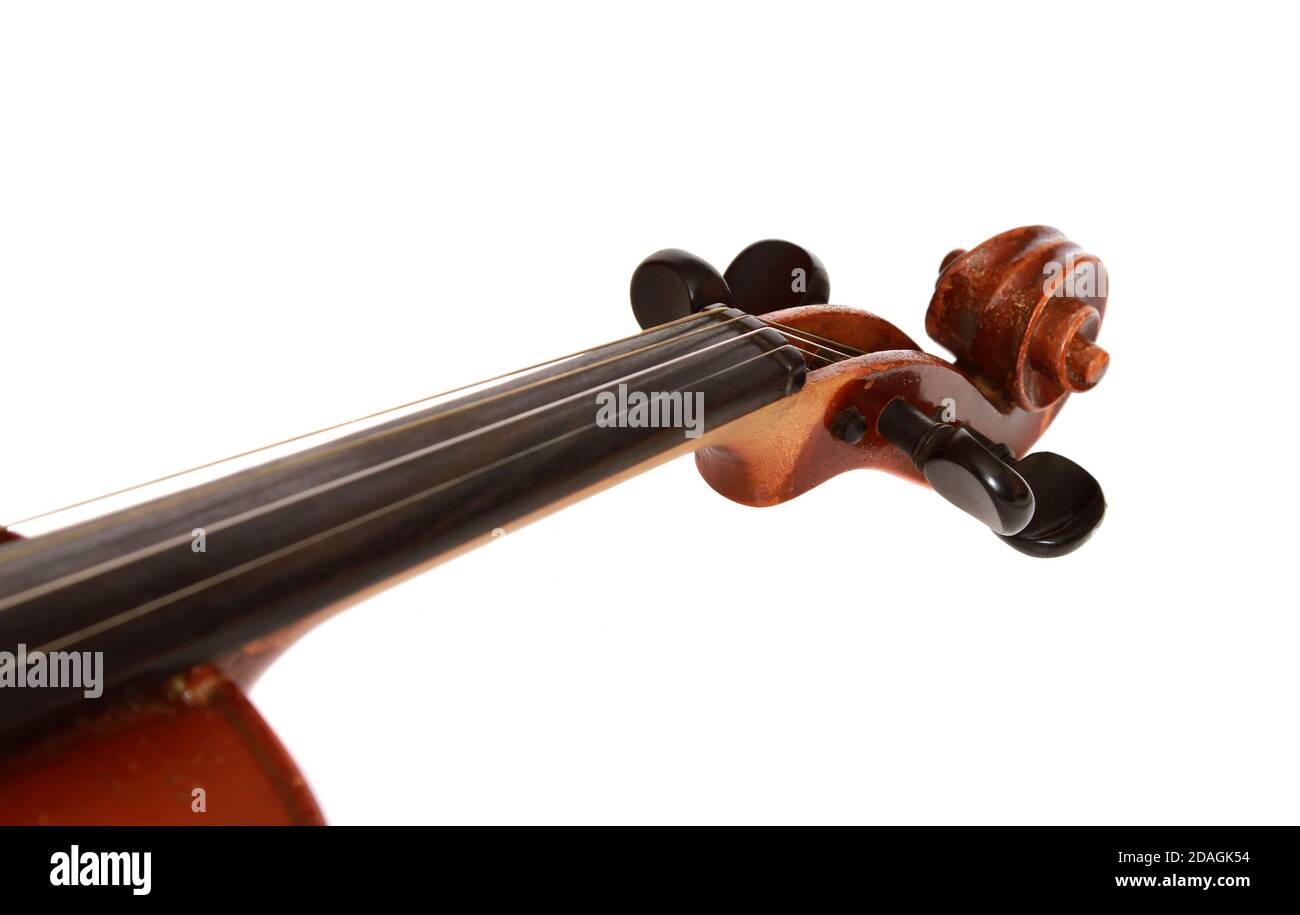 Strings of a violin isolated on a white background Stock Photo - Alamy