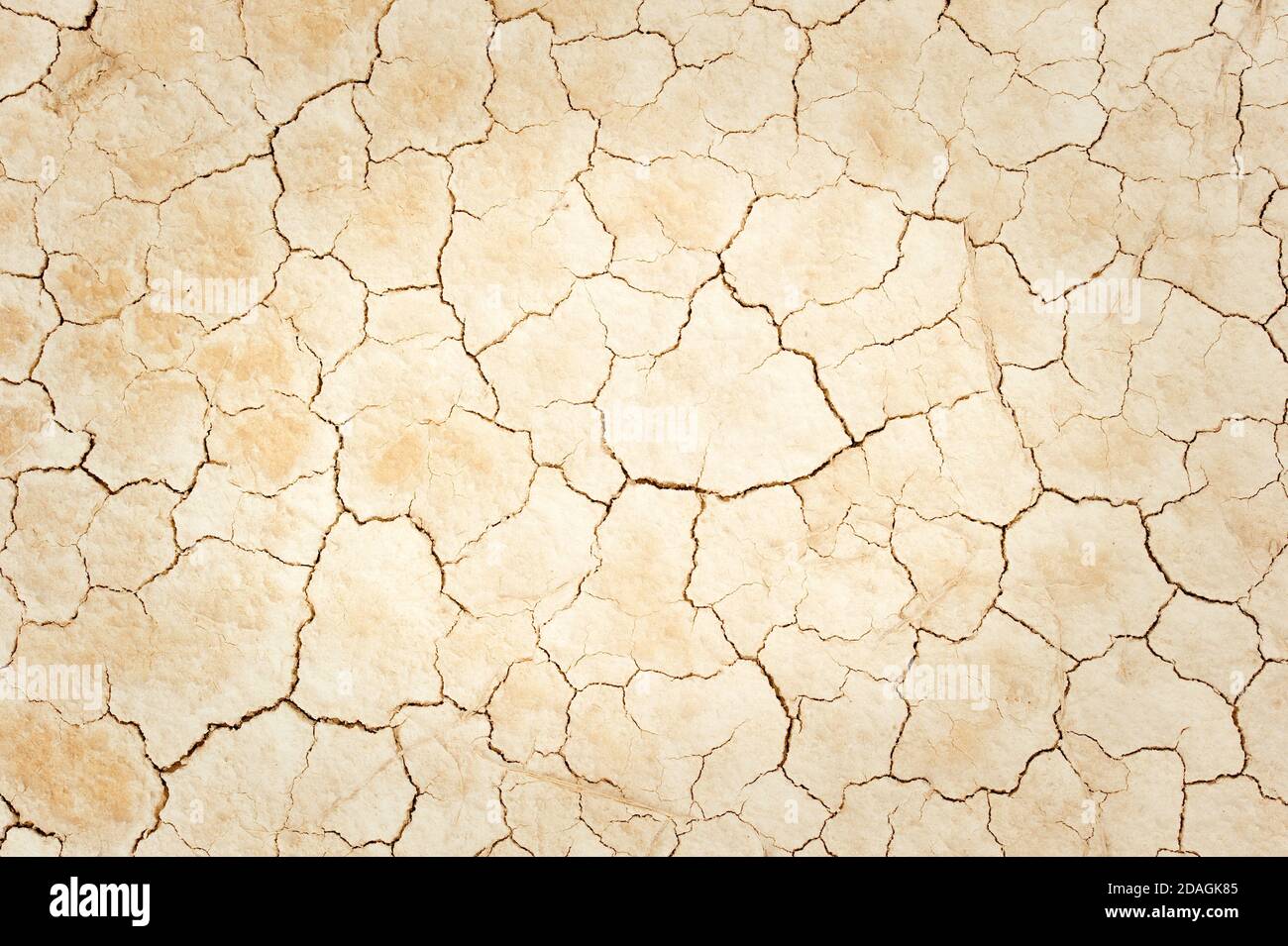 dry and cracked ground texture Stock Photo - Alamy