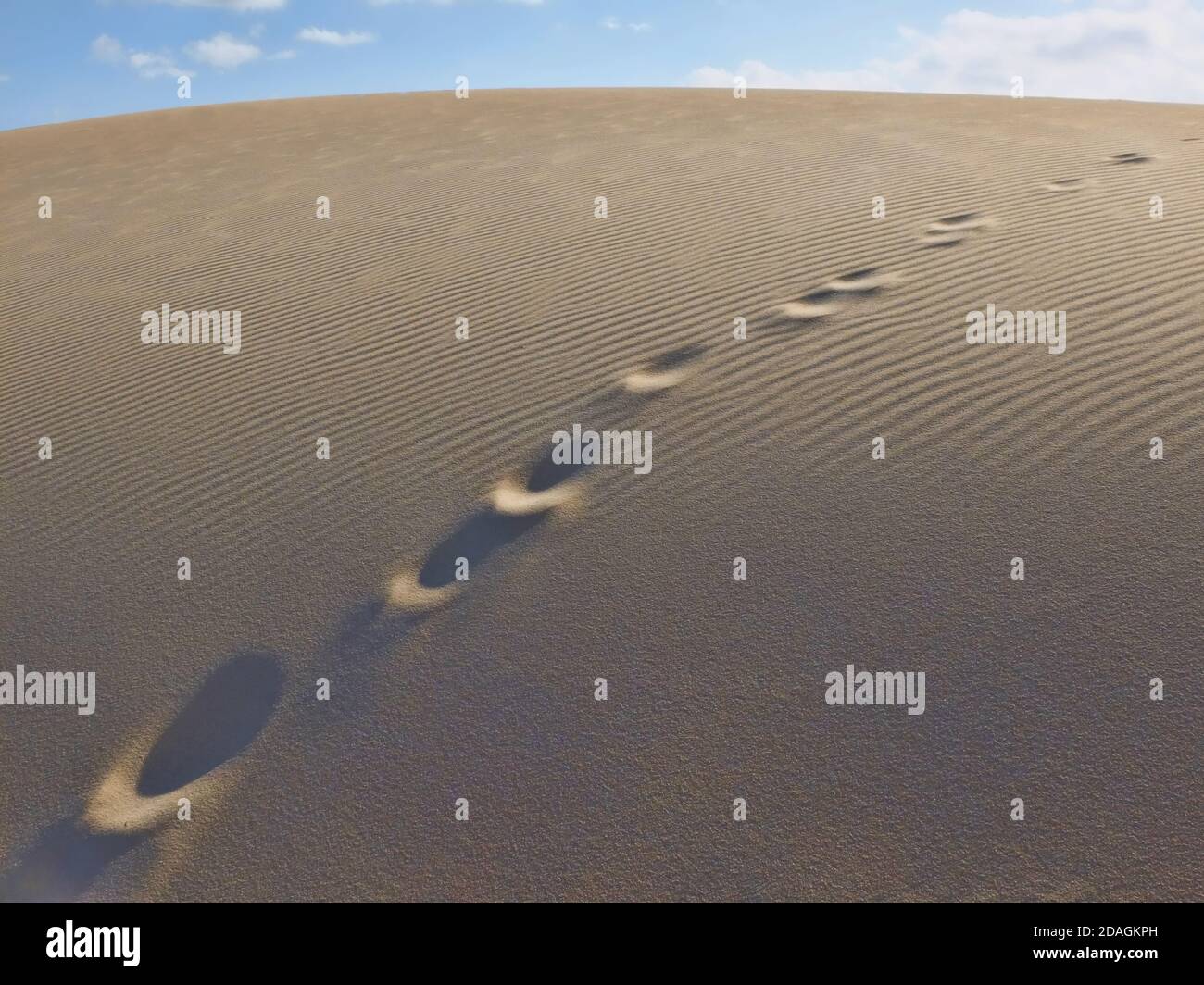 Beautiful shot of footprints in a desert area Stock Photo - Alamy