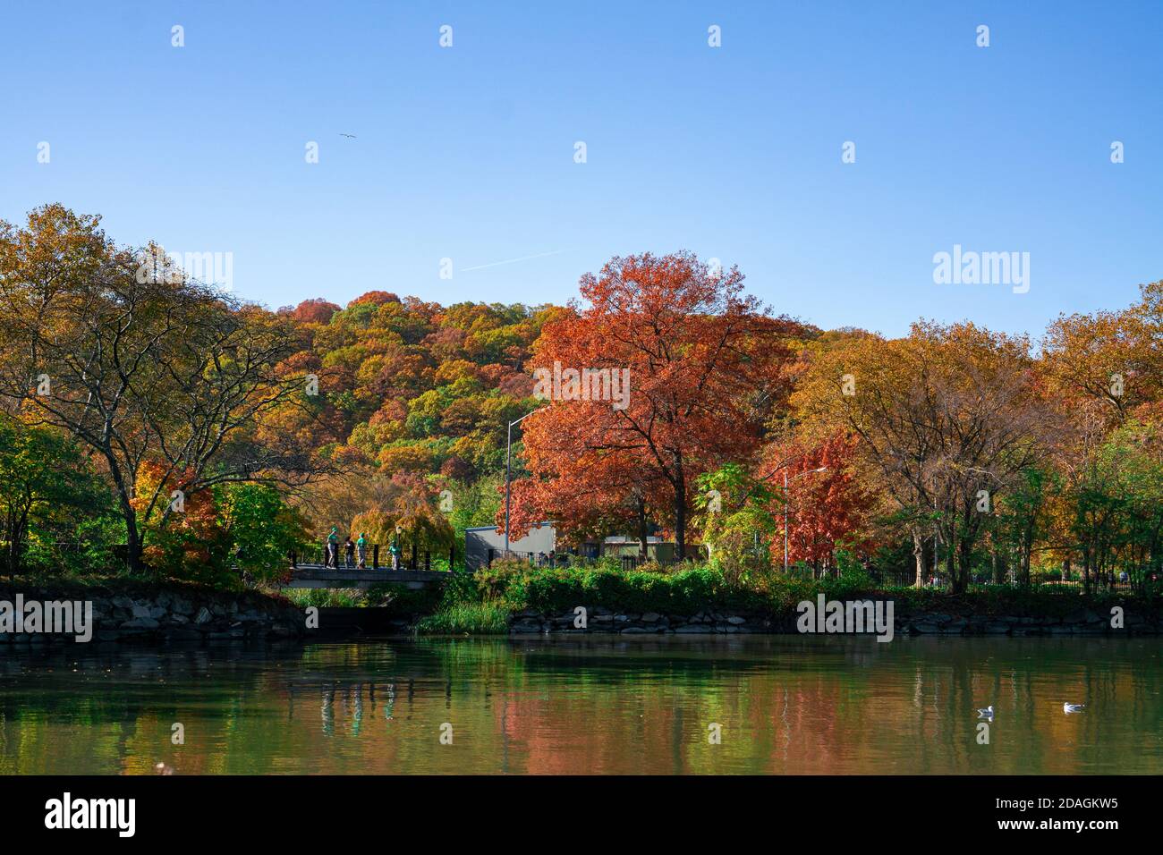 Fall season with colored trees and water edge reflecting the autumn ...