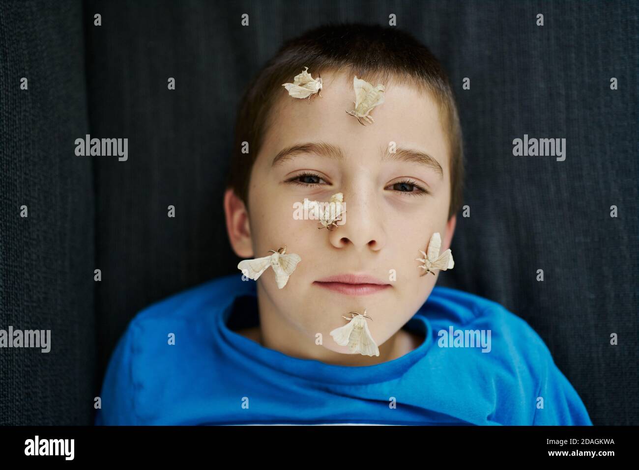 Boy with serious look posing with silkworm butterflies on his face ...