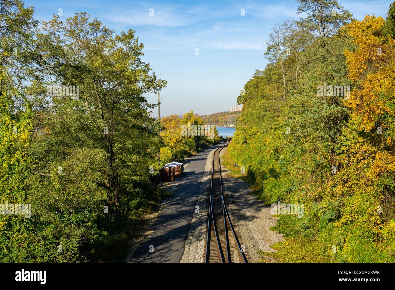 view of straight parallel railroad tracks stretching out surrounded with lush bright green trees ...