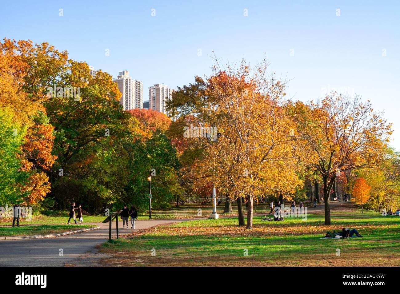 falling yellow leaves at public park in autumn season. People enjoying ...