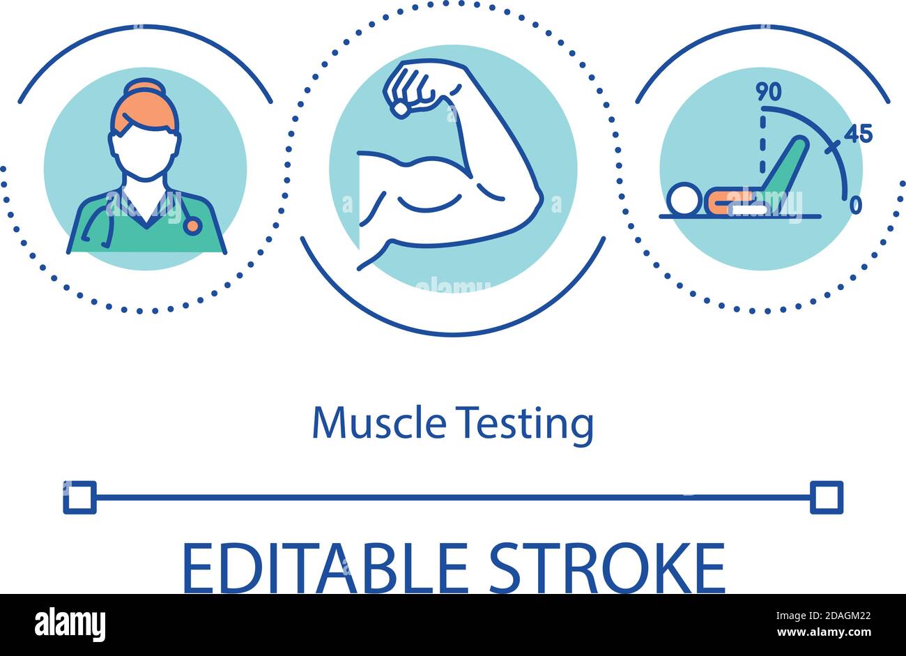 Muscle testing concept icon Stock Vector Image & Art - Alamy