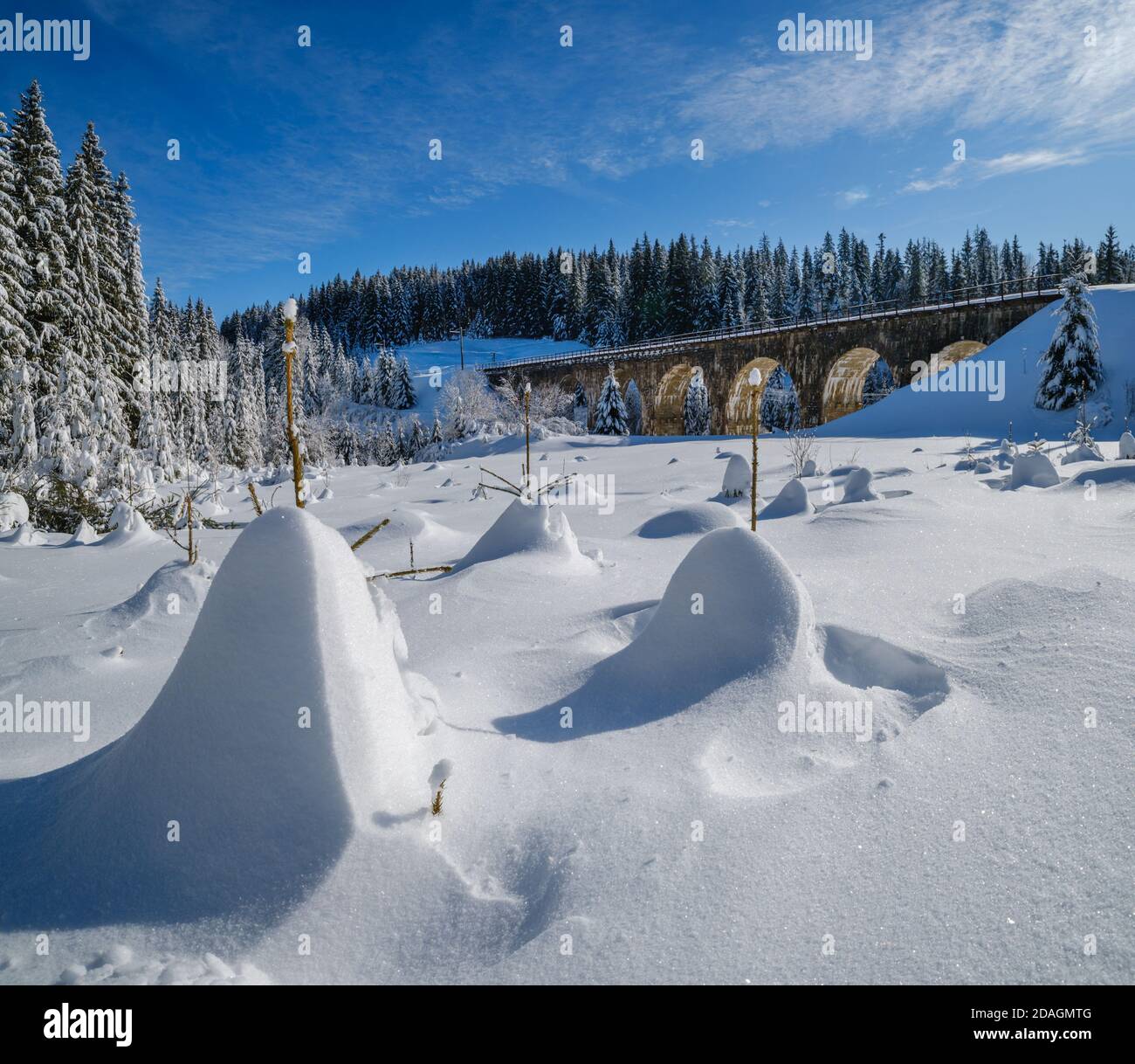 Stone viaduct (arch bridge) on railway through mountain snowy fir ...